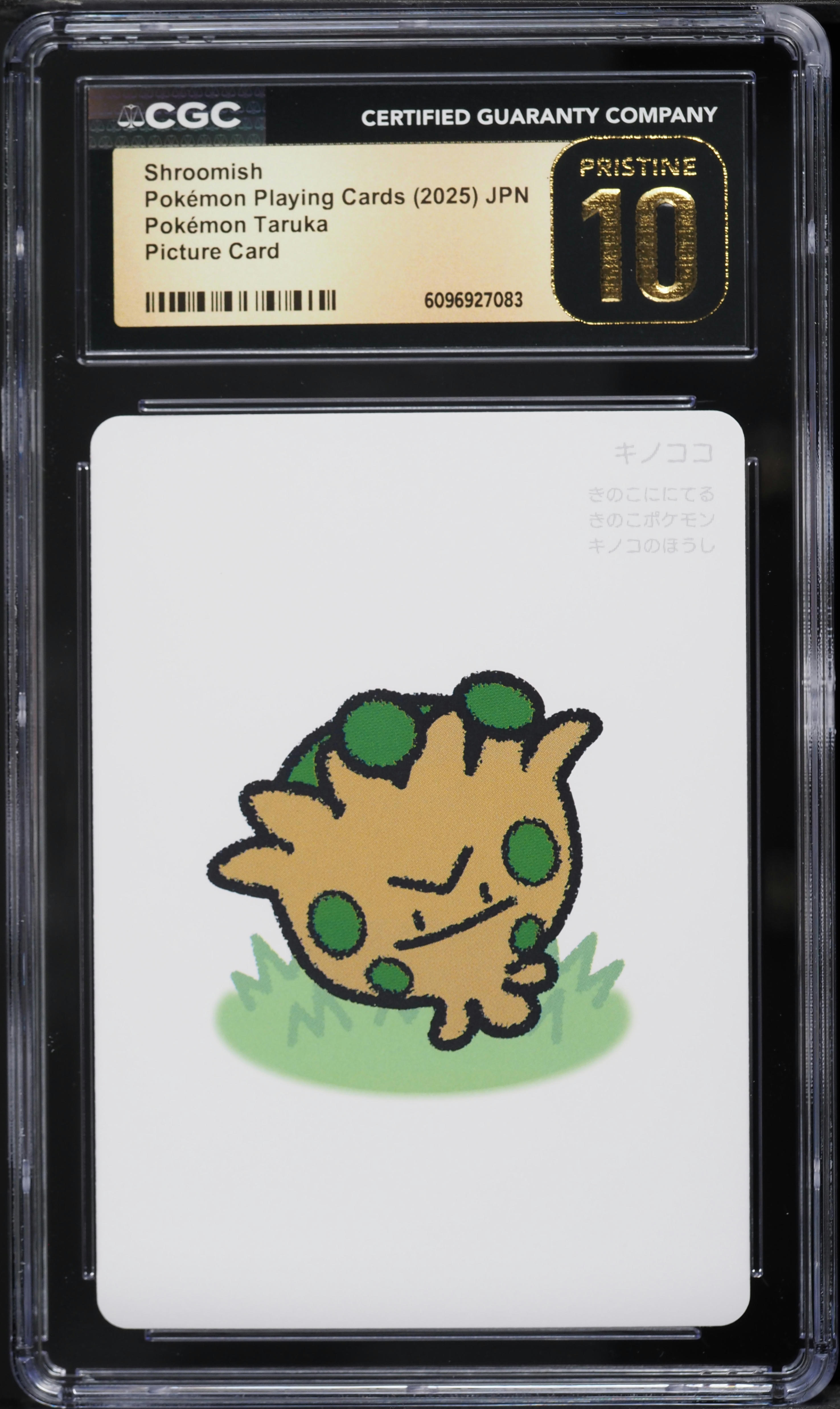 shroomish evolution ruby