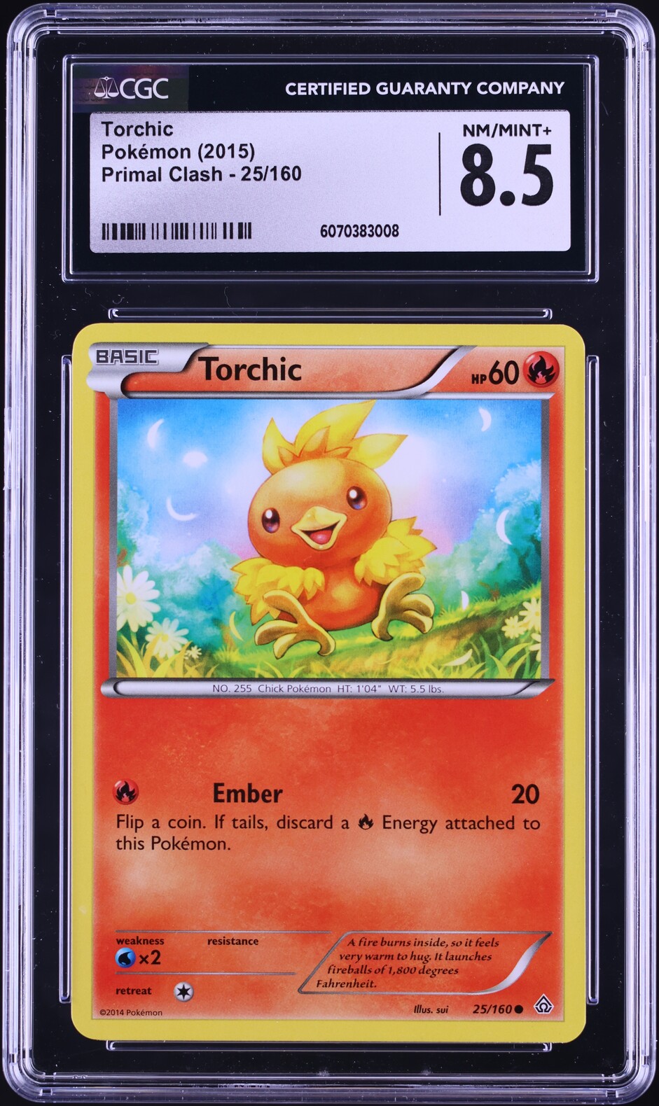 shiny torchic emerald