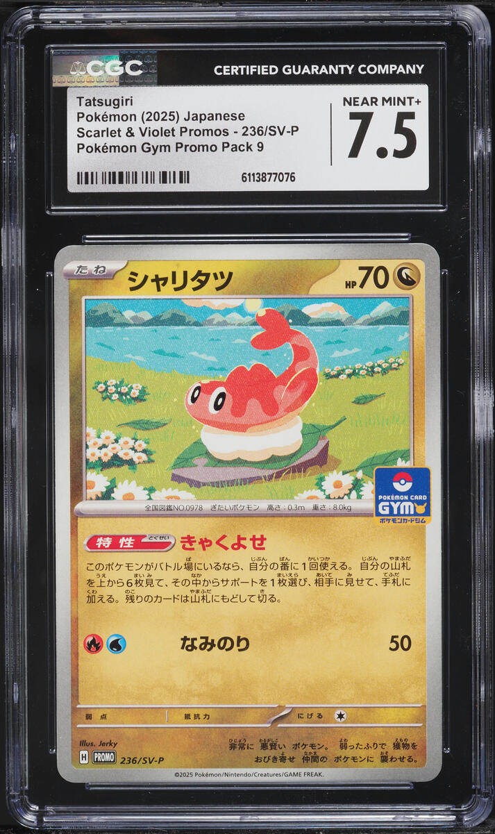 2025 Pokemon Japanese SV Promos Pokémon Gym Promo Pack 9 Tatsugiri #236 ...