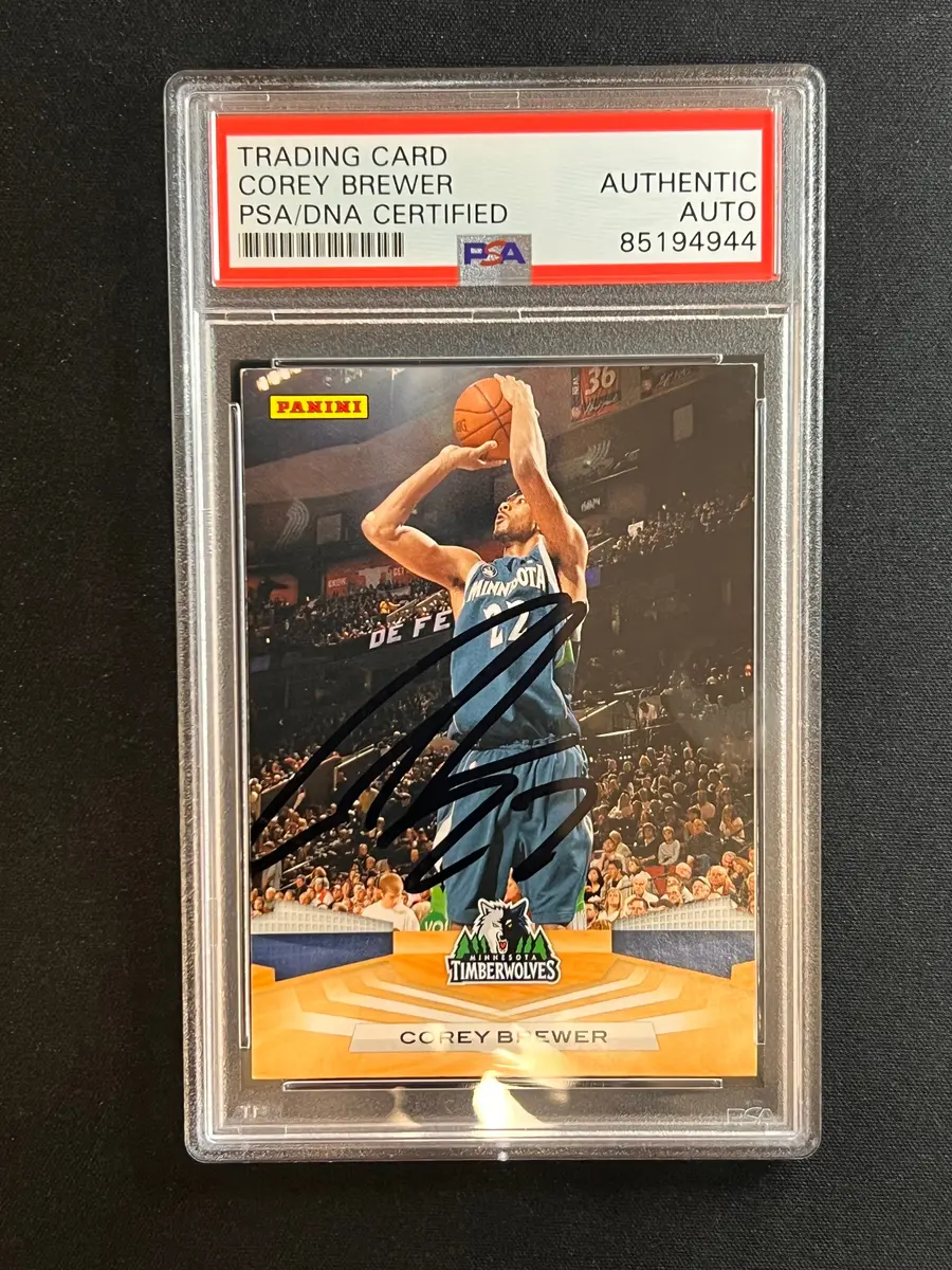 corey brewer timberwolves